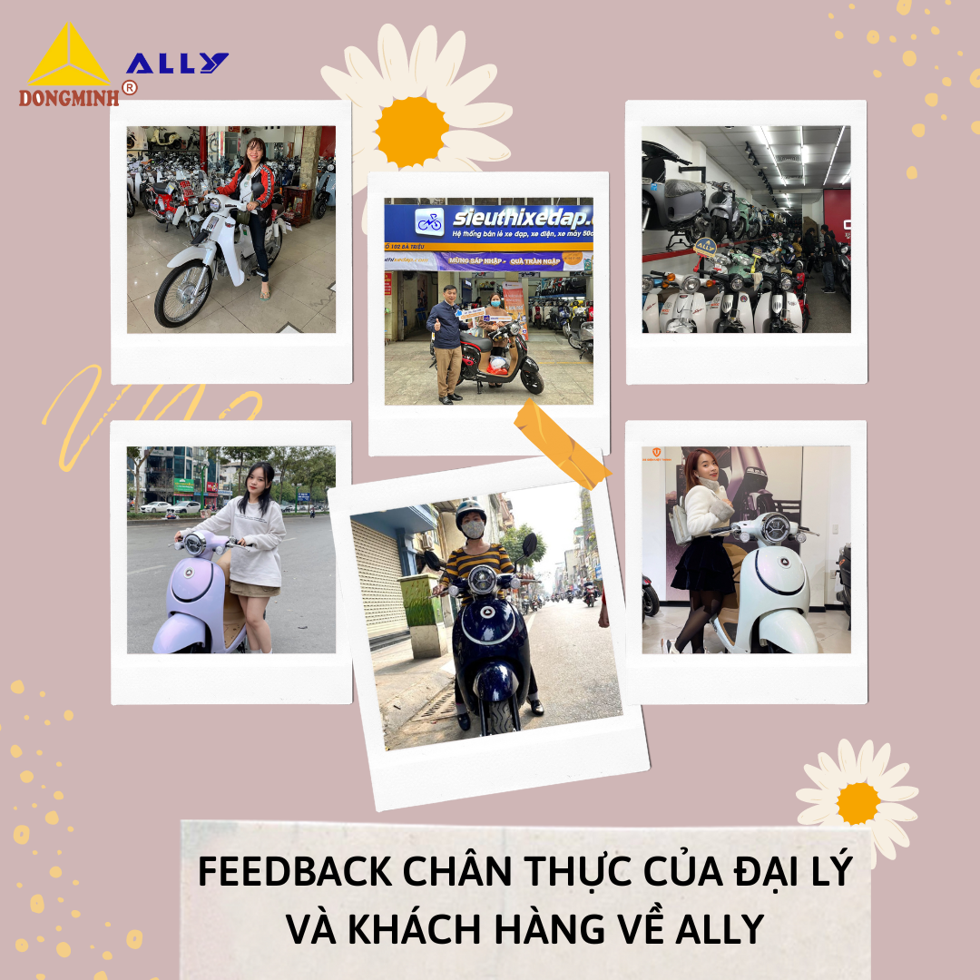 Feedback của Đại lý và Khách hàng về thương hiệu xe ALLY như thế nào ...